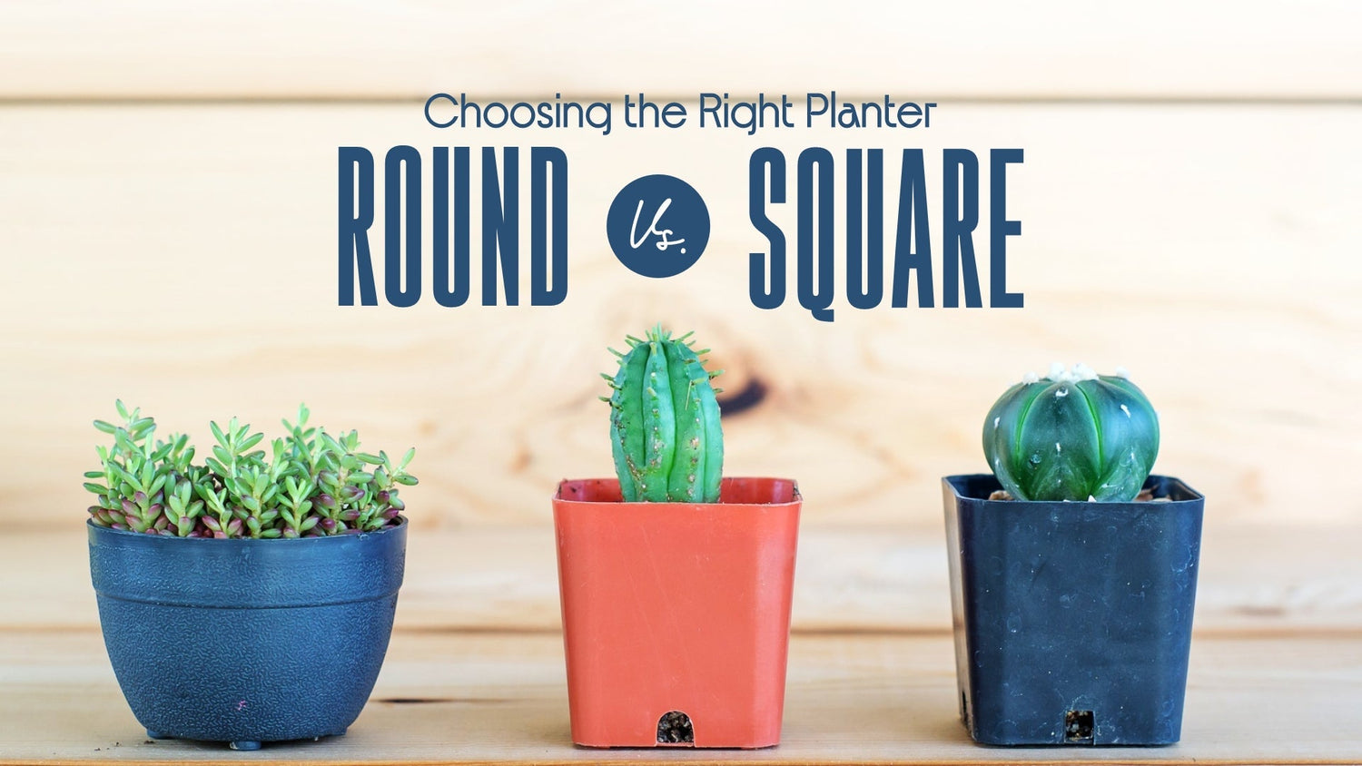 Round vs. Square Planters: Which One is Right for You?