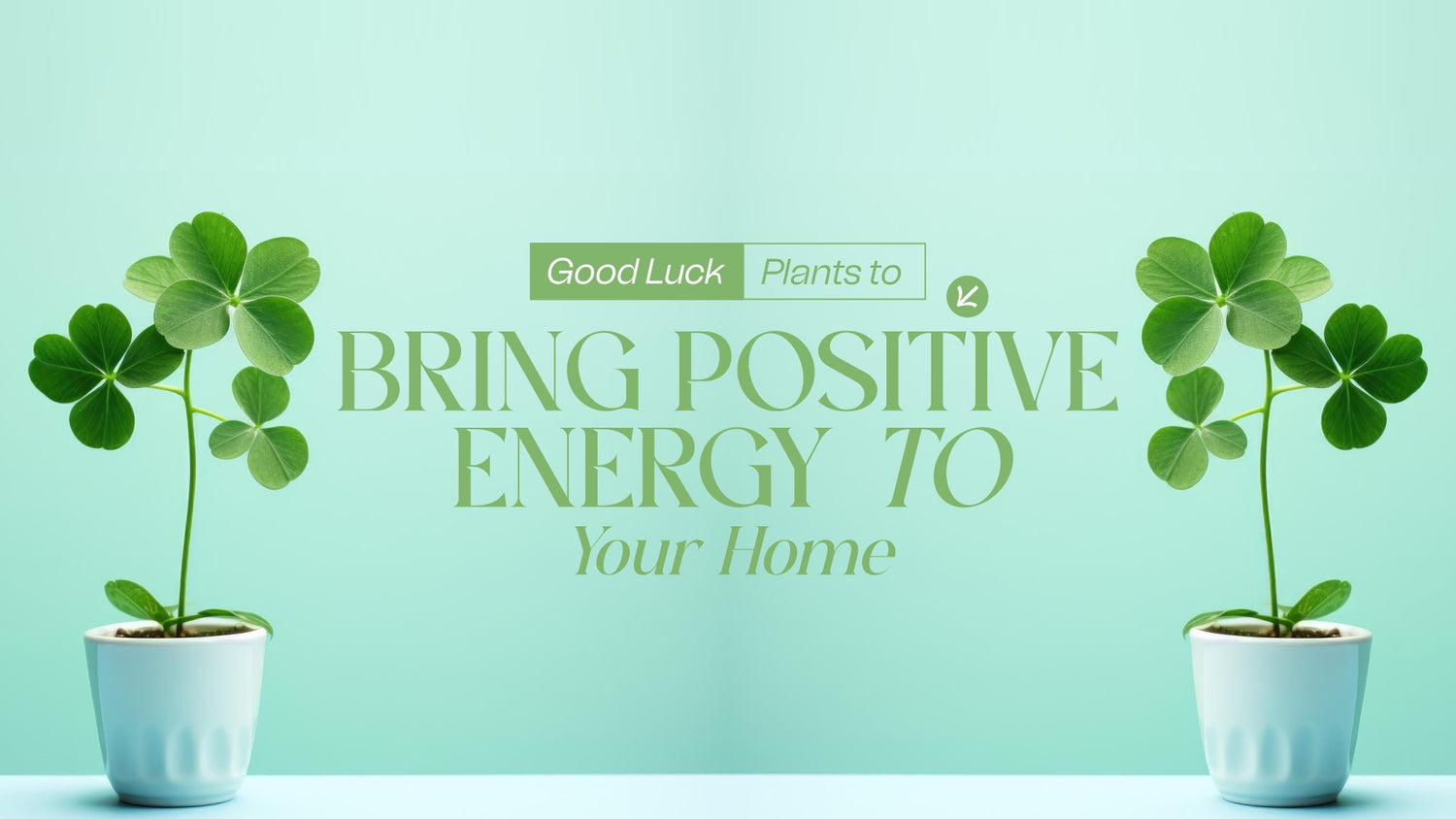 Good Luck Plants: Positive Energy & Prosperity for Your Home