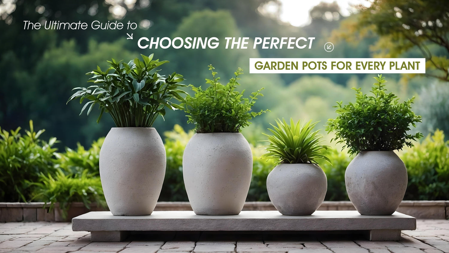 Ultimate Guide to Choosing the Perfect Garden Pots
